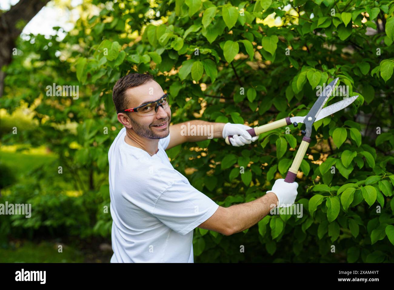 Man gardener in gloves doing maintenance work, pruning trees. Green ...