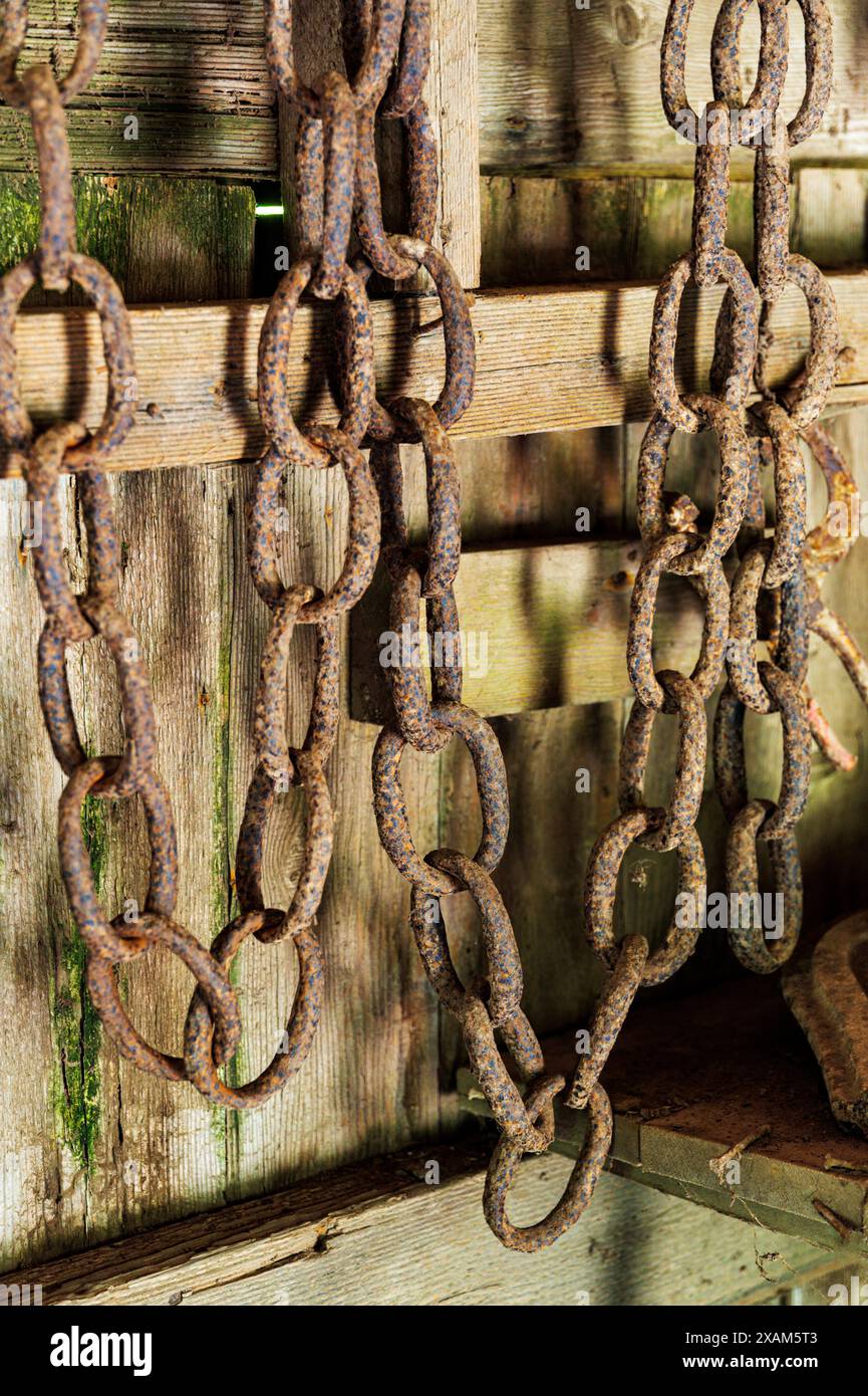 Rusted, old antique farm chains; Scorpion Ranch c 1800; Santa Cruz ...