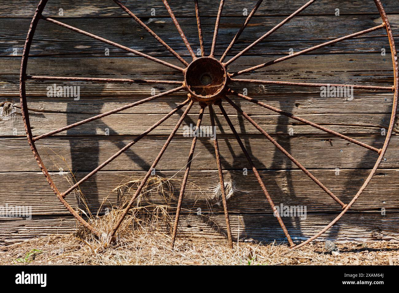Rusted, old antique wagon wheel; Scorpion Ranch c 1800; Santa Cruz ...