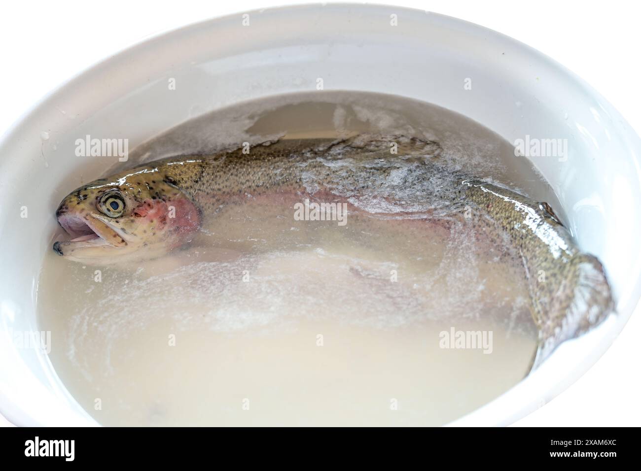 Brine soaked hi-res stock photography and images - Alamy