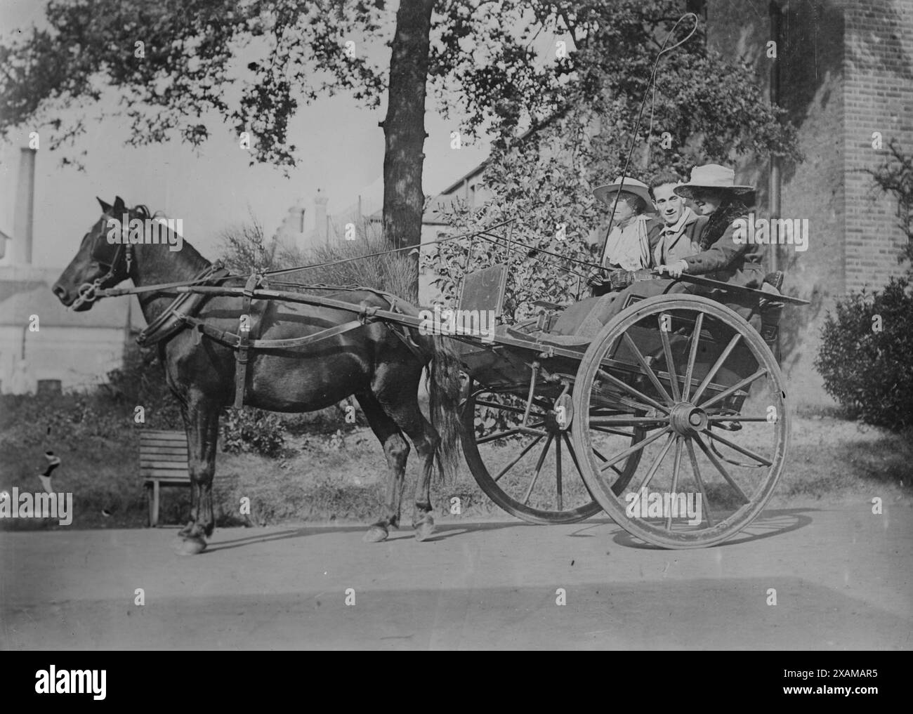 Wounded animals Black and White Stock Photos & Images - Alamy