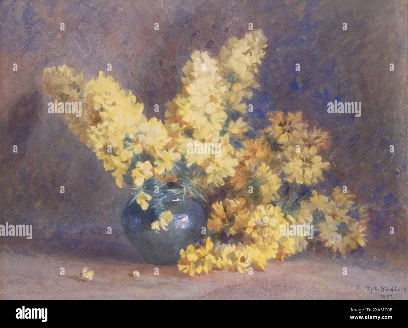 Yellow blossom and rosemary, 1897 Stock Photo - Alamy
