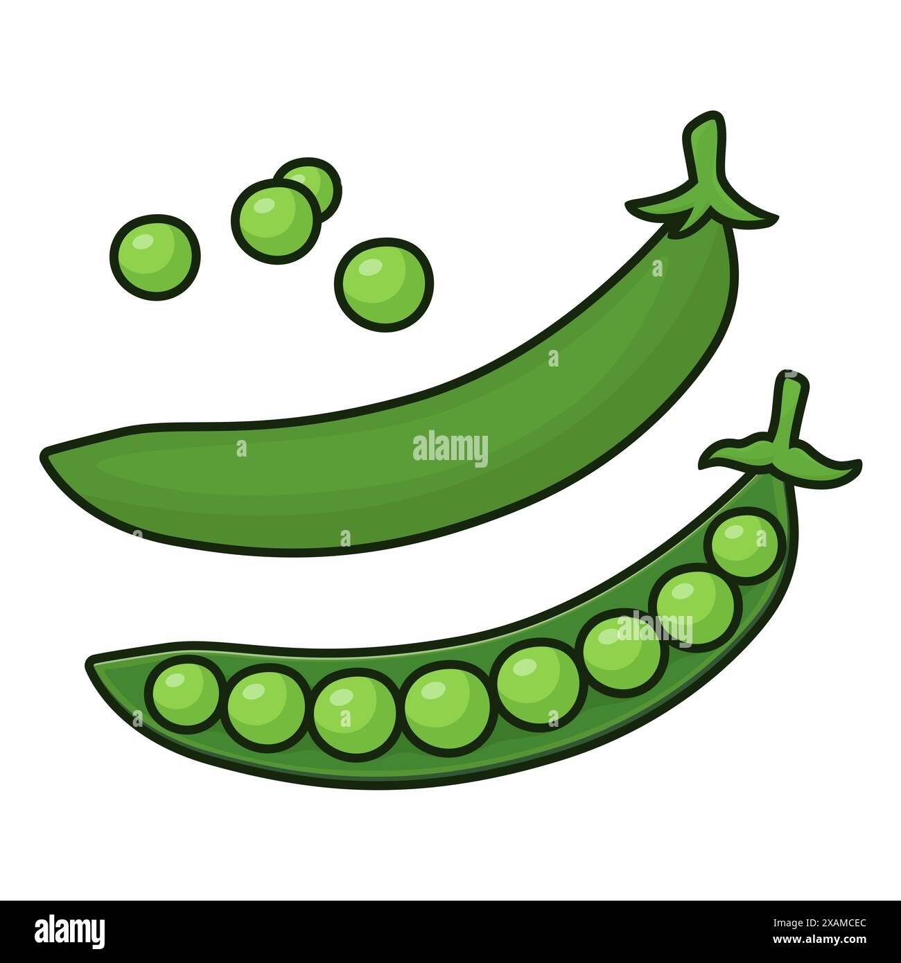 Flat Cartoon Green Peas. Fresh Cartoon Organic Vegetables Isolated ...
