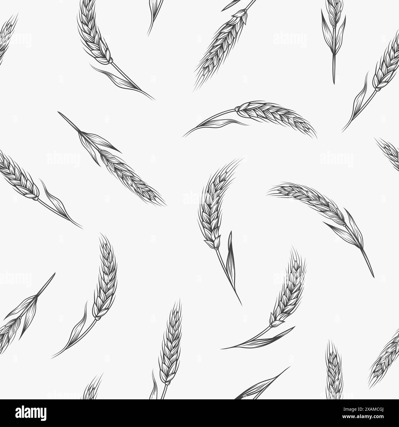 Vector Seamless Pattern with Hand Drawn Agriculture Wheat, Cereal Ears ...