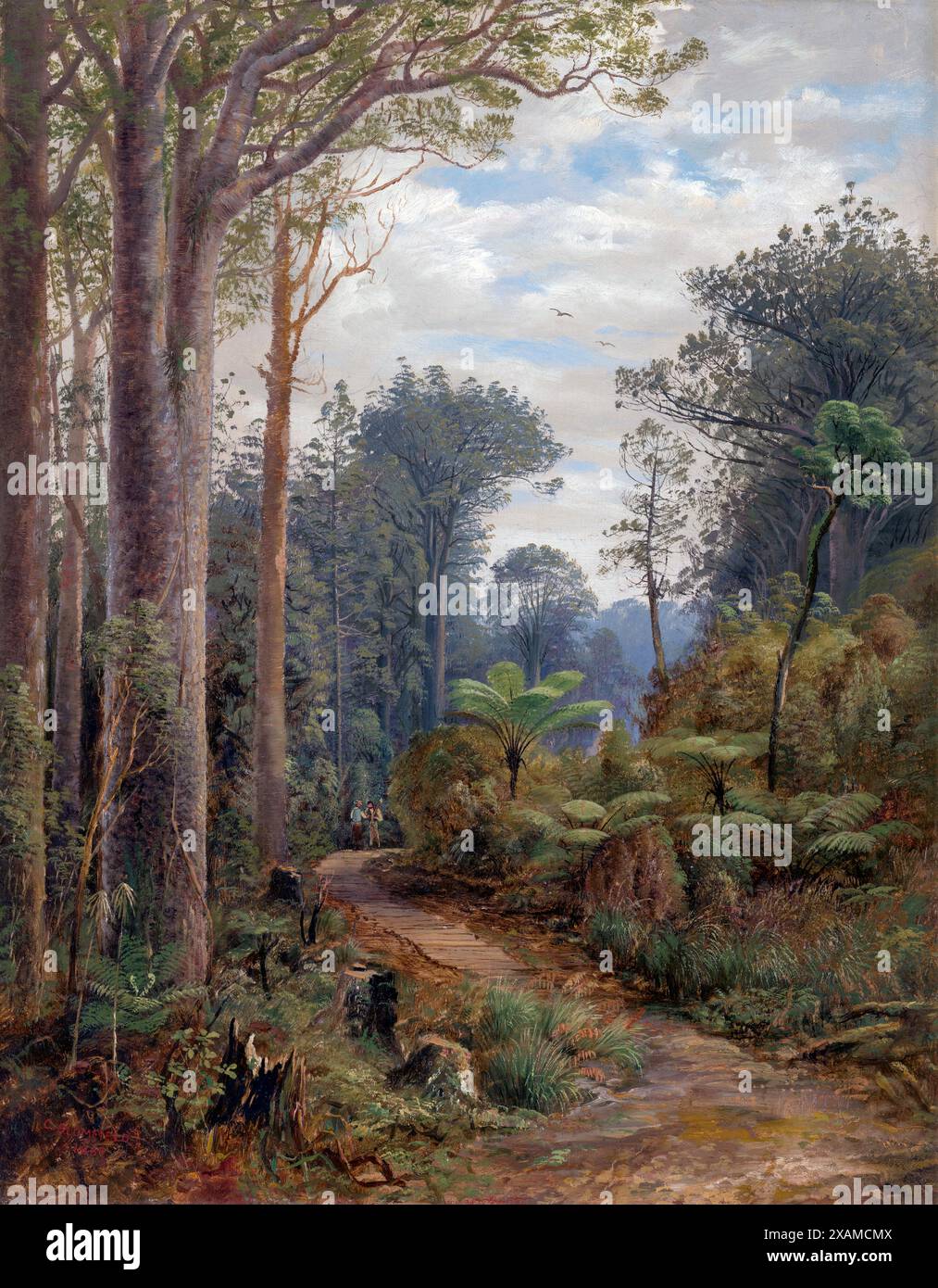 Waitakere range hi-res stock photography and images - Alamy