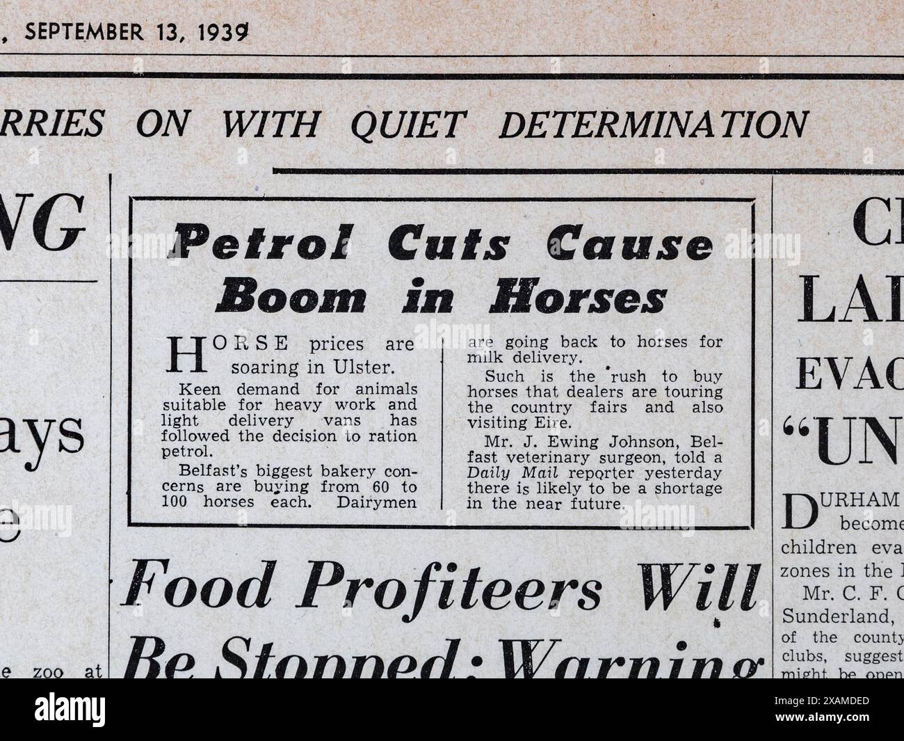 "Petrol cuts cause boom in horses" headline and article the Daily Mail ...