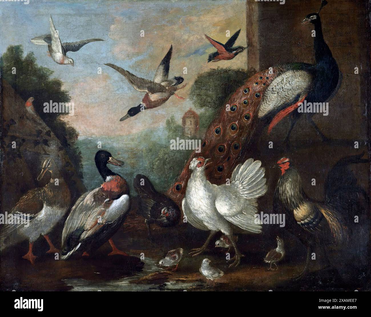 The birds, 17th century Stock Photo - Alamy