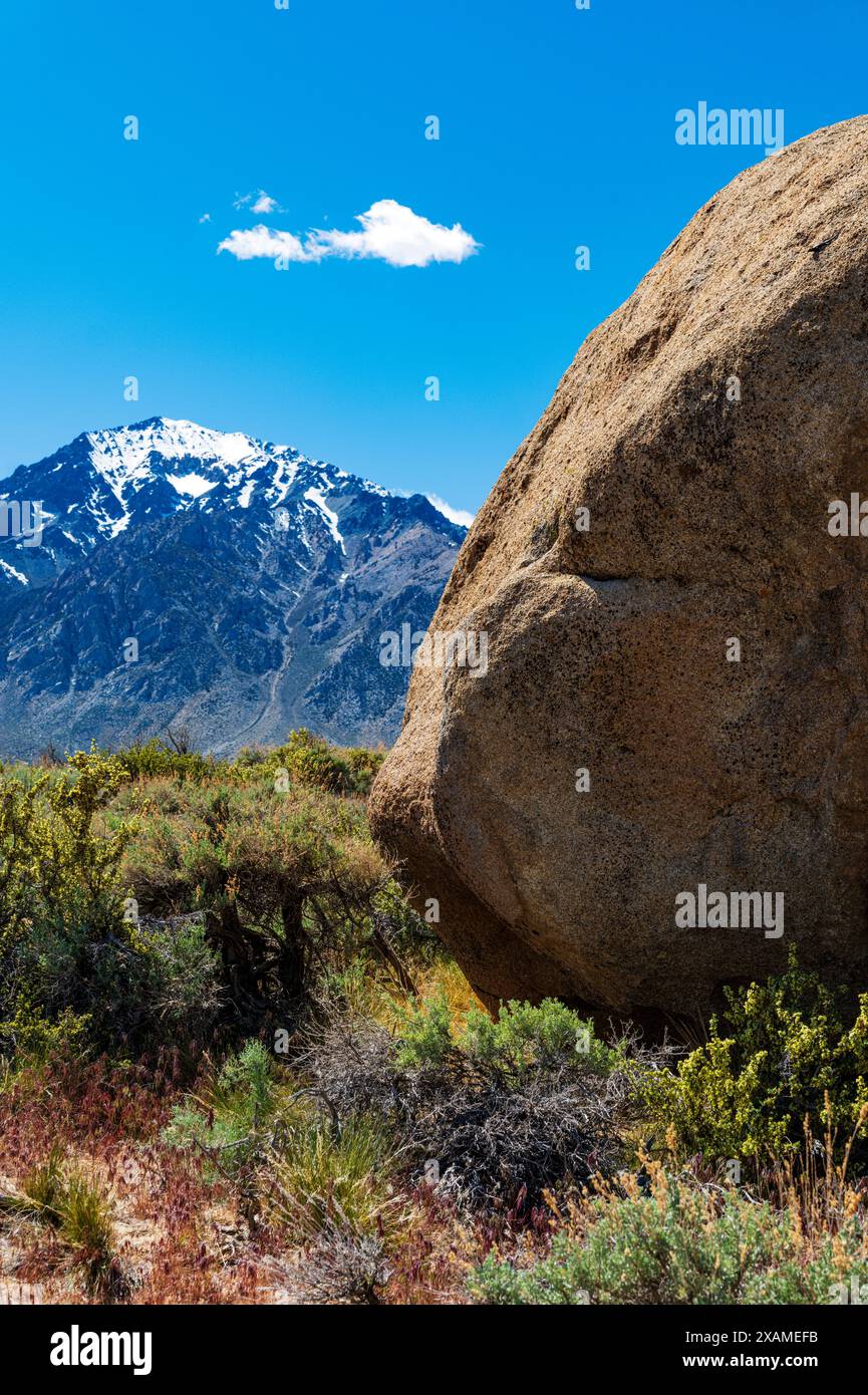 Buttermilk Rocks; Mt. Tom beyond; famous granite boulders for climbing ...