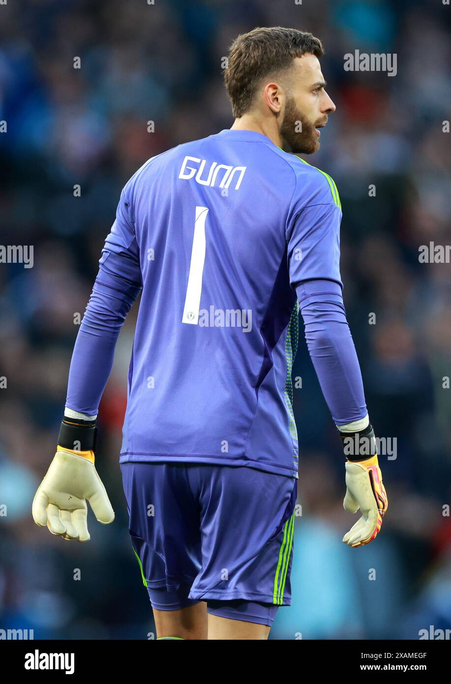 Scotland goalkeeper Angus Gunn looks on during an international ...