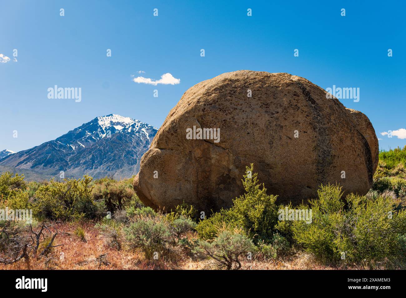 Buttermilk Rocks; Mt. Tom beyond; famous granite boulders for climbing ...