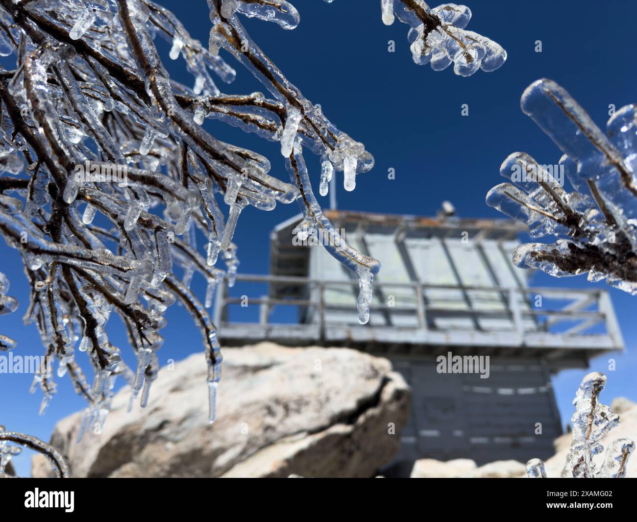 May 4, 2024, Idyllwild, California, USA: Spring time frozen rain storm ...