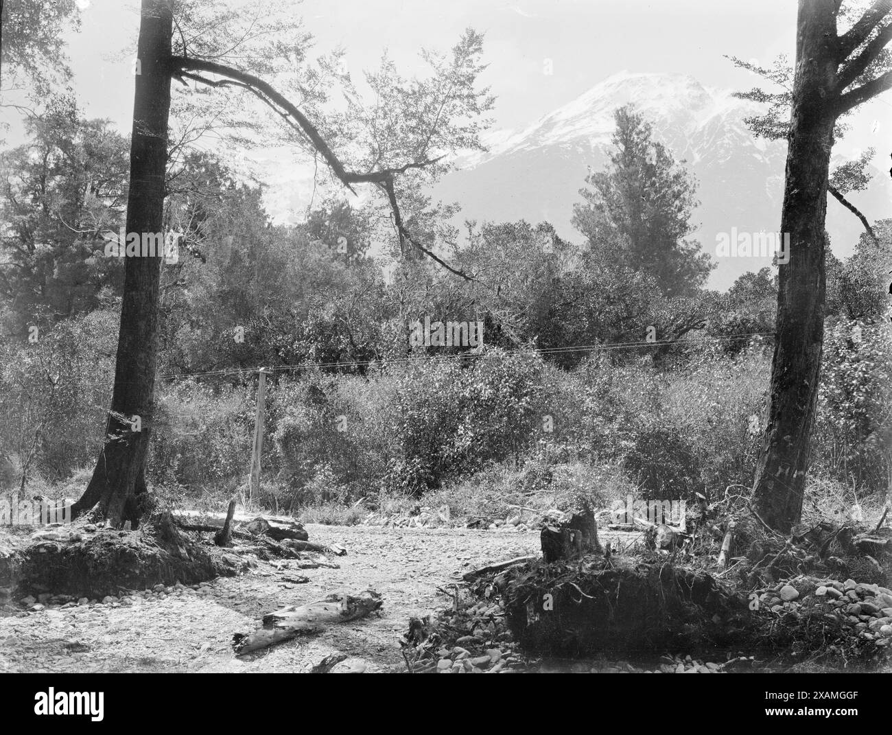 Mount Alexander, West Coast Road, c1880s Stock Photo - Alamy
