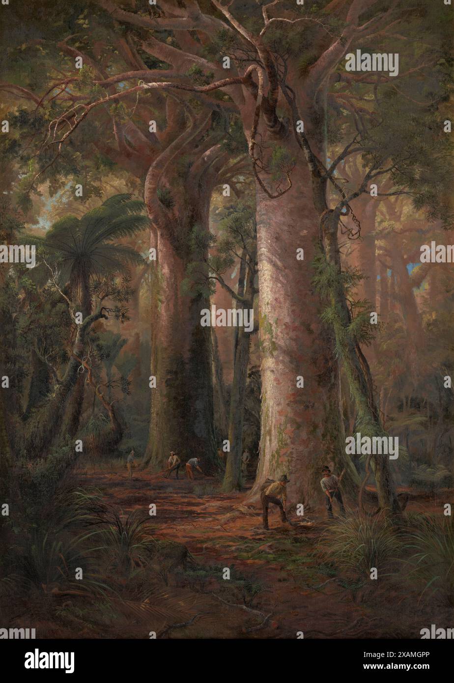 Scene of Kauri Bush, gumdiggers at work, 1892 Stock Photo - Alamy