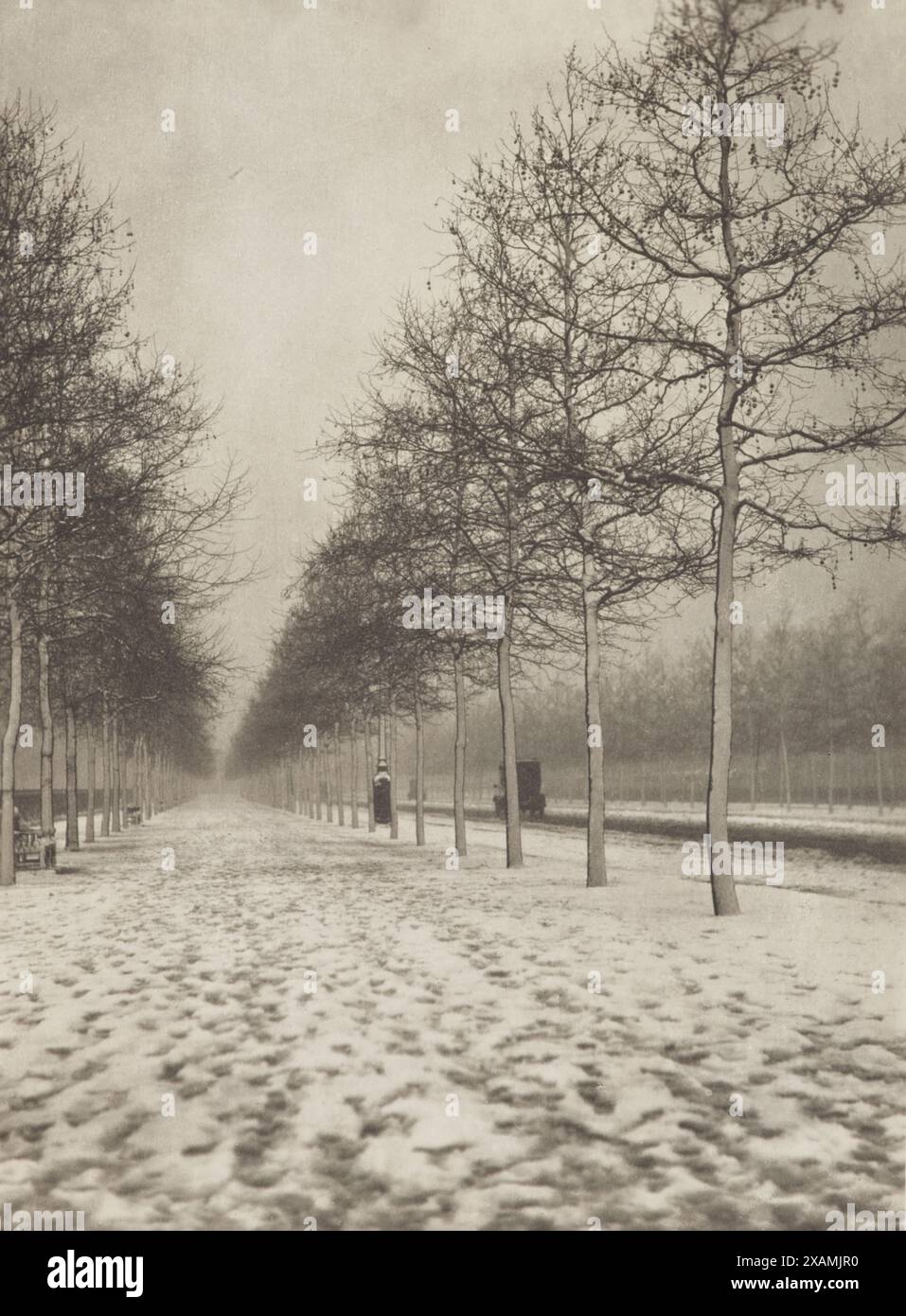 The Mall in winter. From the album: Photograph album - London, 1920s ...
