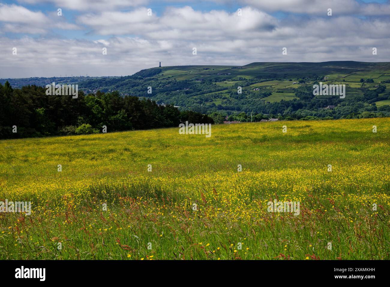 Pennine pastures hi-res stock photography and images - Alamy