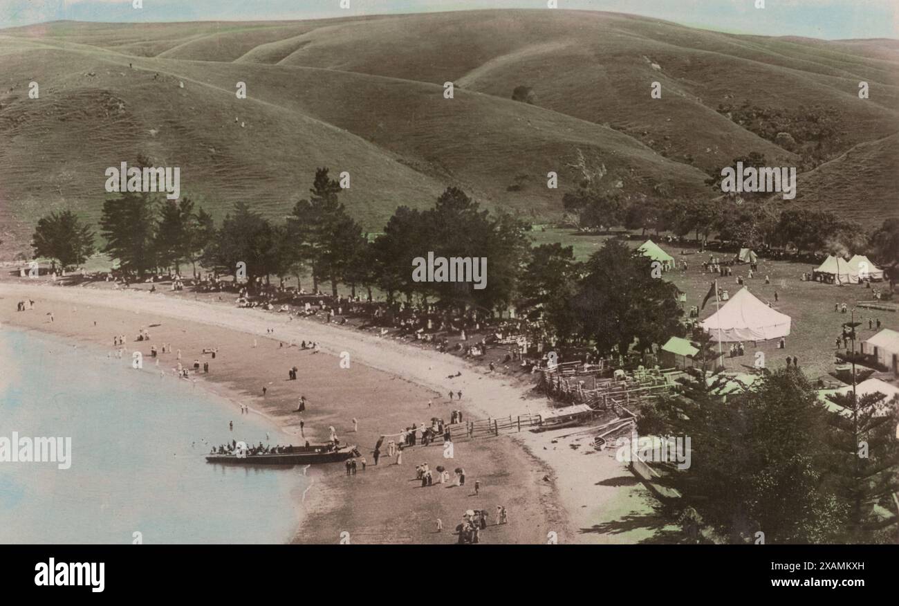 Motutapu auckland north island new zealand hi-res stock photography and ...