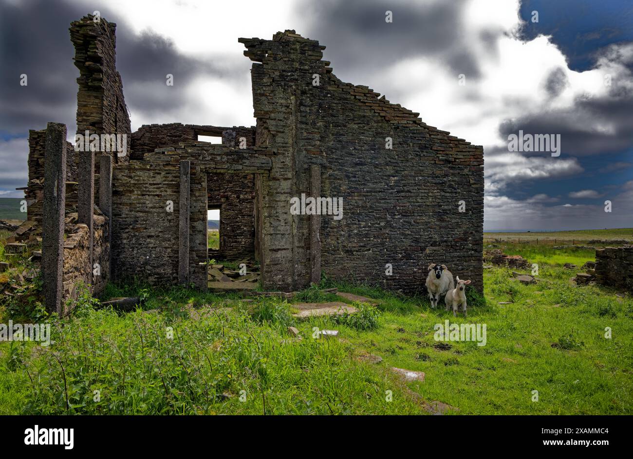 Derelict farm in the West Pennines Stock Photo - Alamy