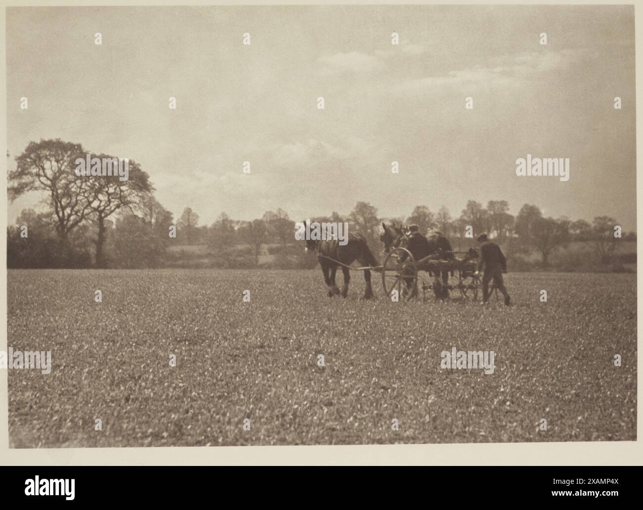 On the farm. From the album: Photograph album - England, 1920s Stock ...