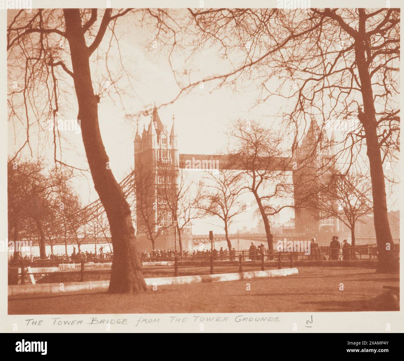 The Tower Bridge from the Tower grounds. From the album: Photograph ...