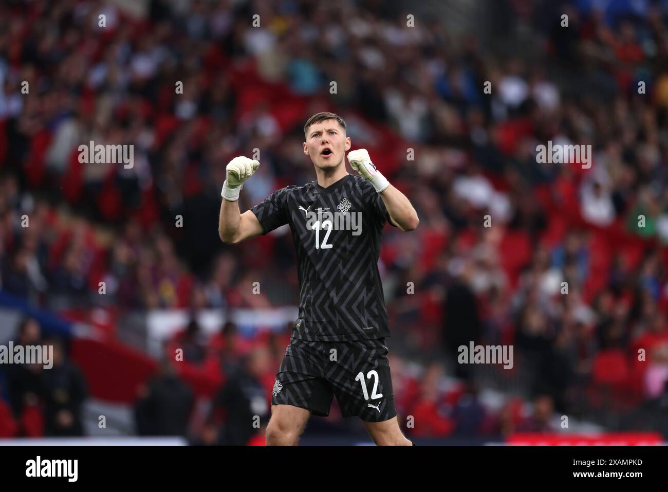 Hakon Rafn Valdimarsson (I) celebrates the first Iceland goal (0-1) at ...
