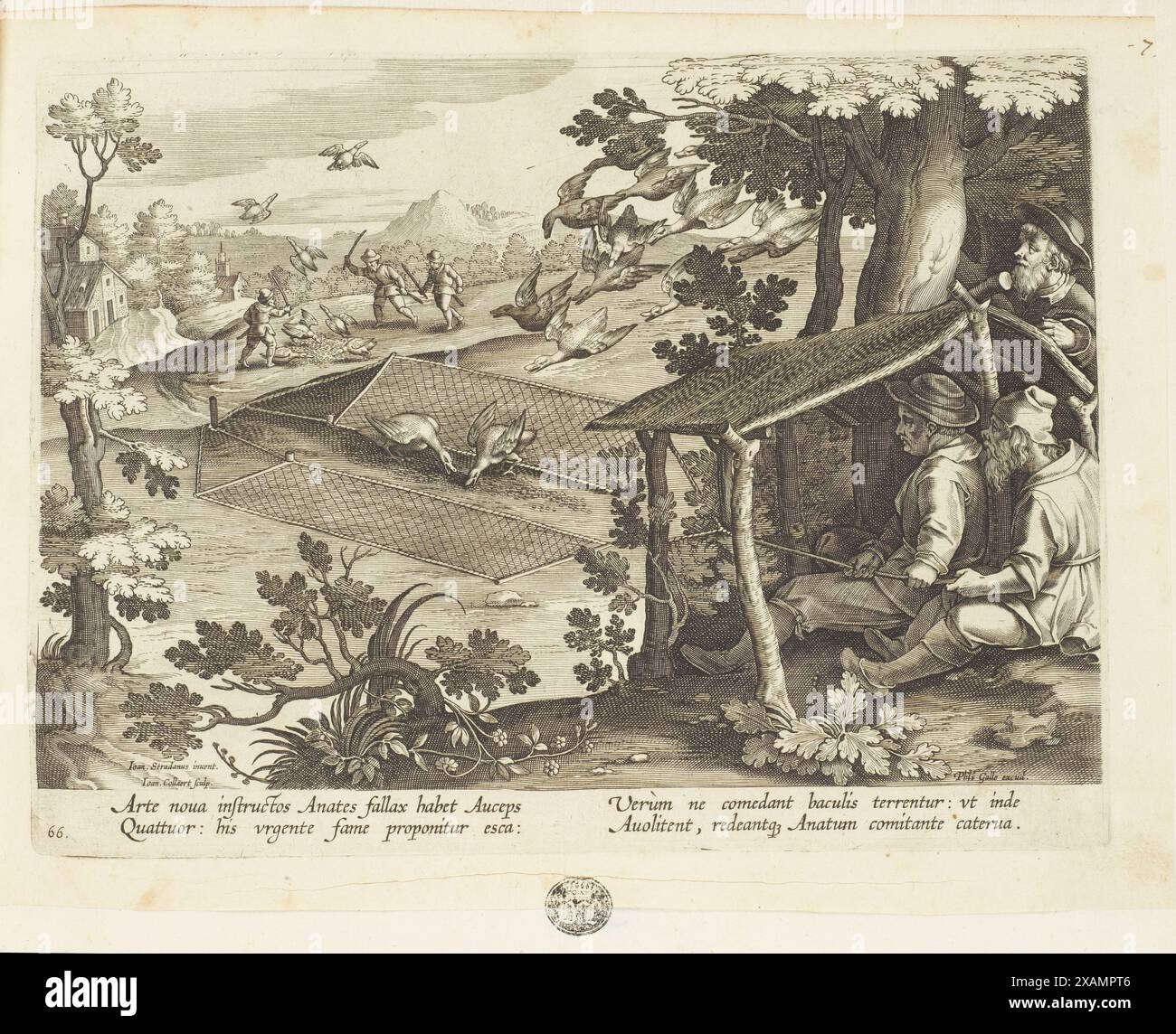 Print series venationes ferarum arium piscium hi-res stock photography ...