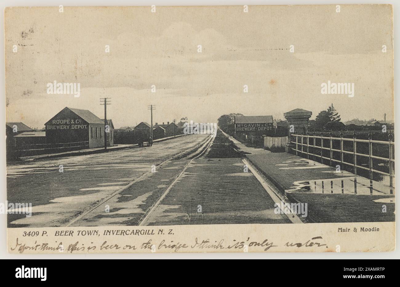 New zealand southland museum hi-res stock photography and images - Alamy