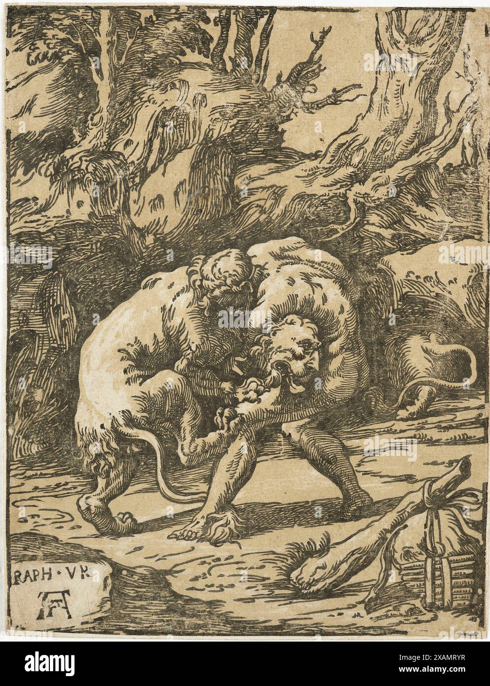 Hercules lion fight hi-res stock photography and images - Alamy