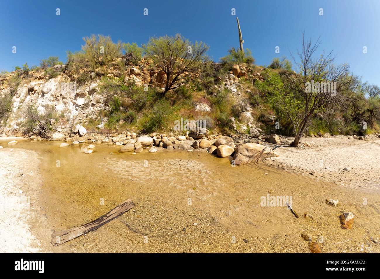 The wide open space of the glorious Catalina State Park, Oro Valley ...