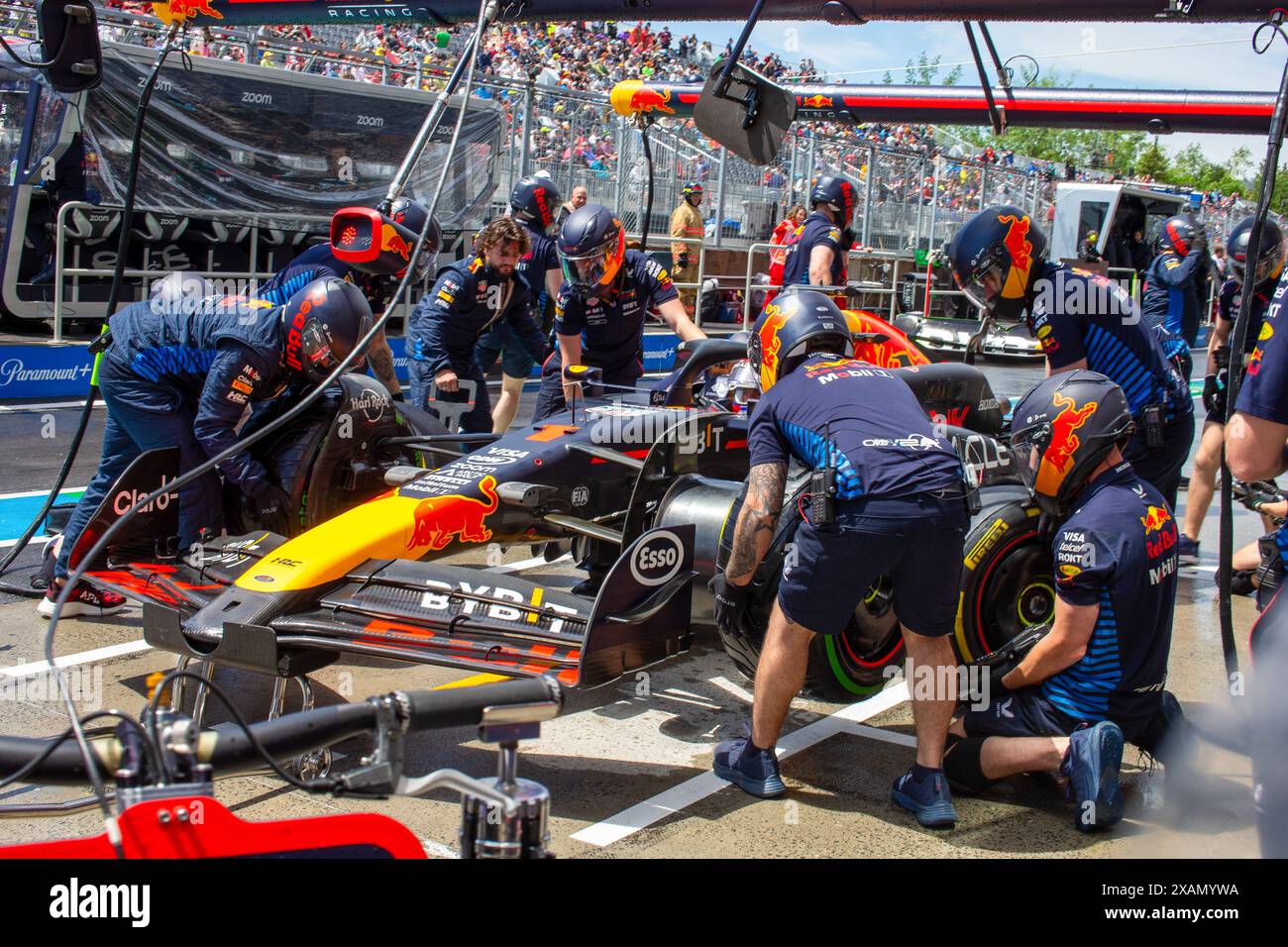 Max Verstappen (NED) - Oracle Red Bull Racing - Red Bull RB20 - Honda ...