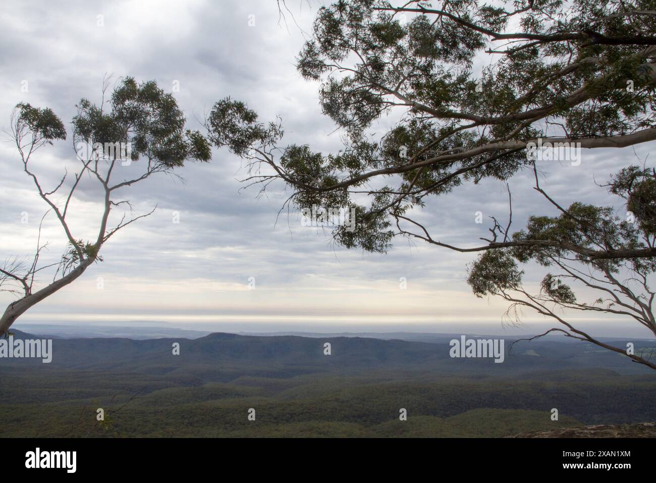 View of the Australian bush at sunset Stock Photo - Alamy