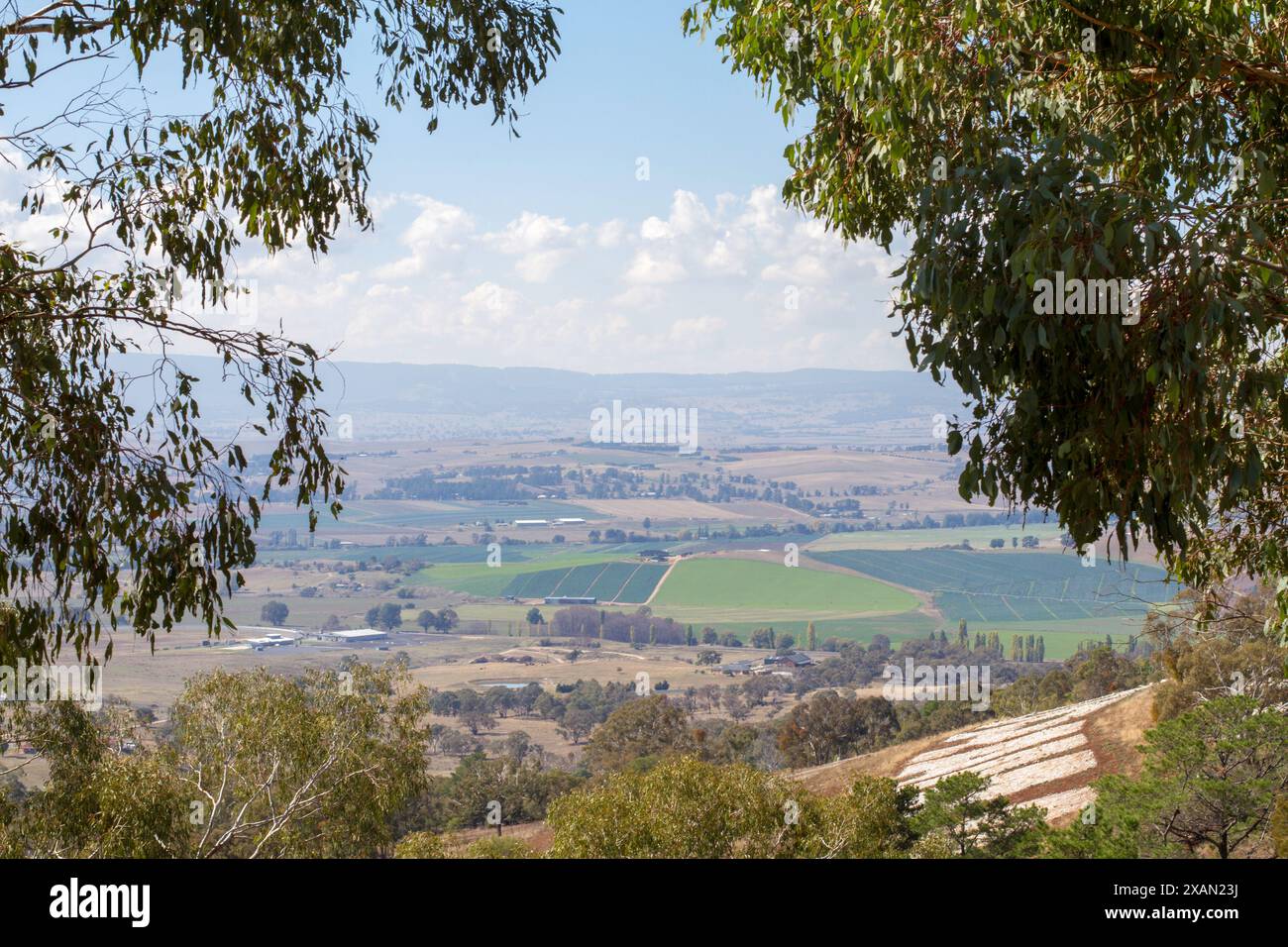 View of the Australian bush at sunset Stock Photo - Alamy