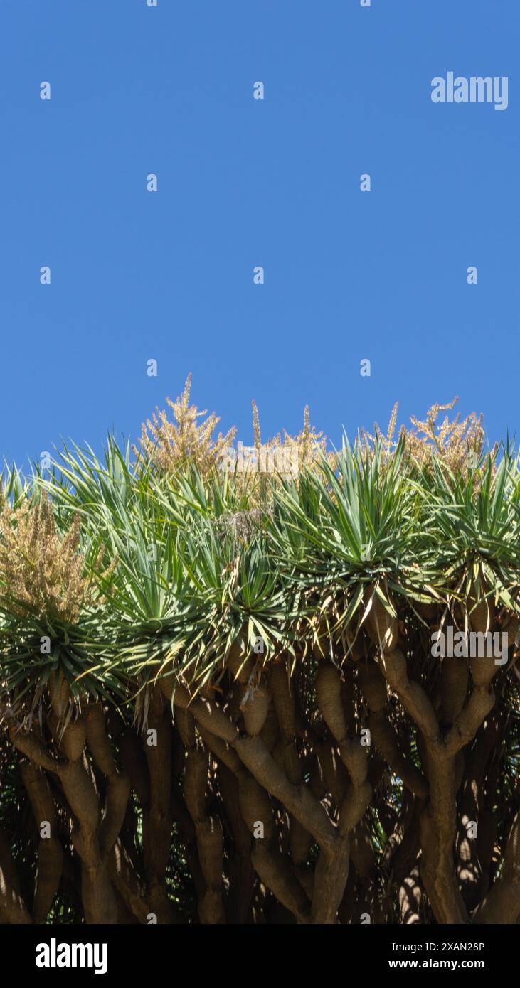 Patterns of vibrant colors hi-res stock photography and images - Alamy