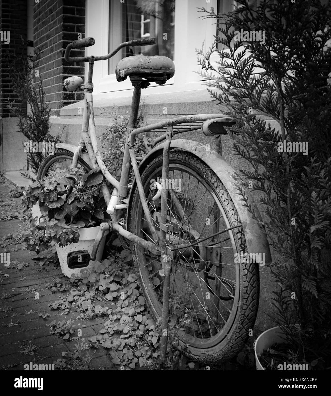 Amsterdam bicycle person Black and White Stock Photos & Images - Alamy
