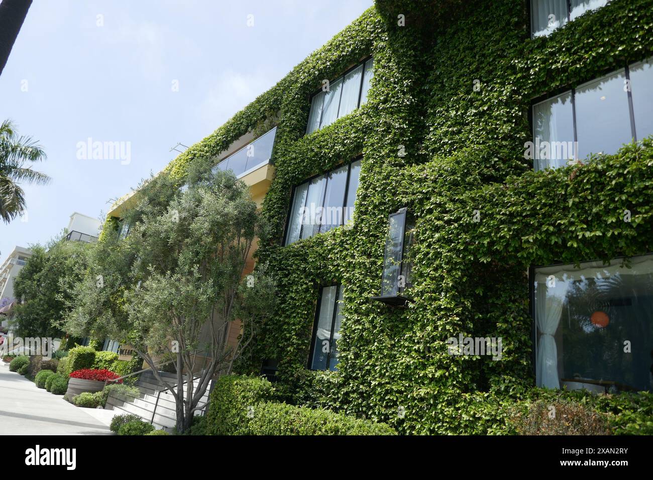 Santa Monica, California, USA 5th June 2024 Comedian Stan Laurel Former ...