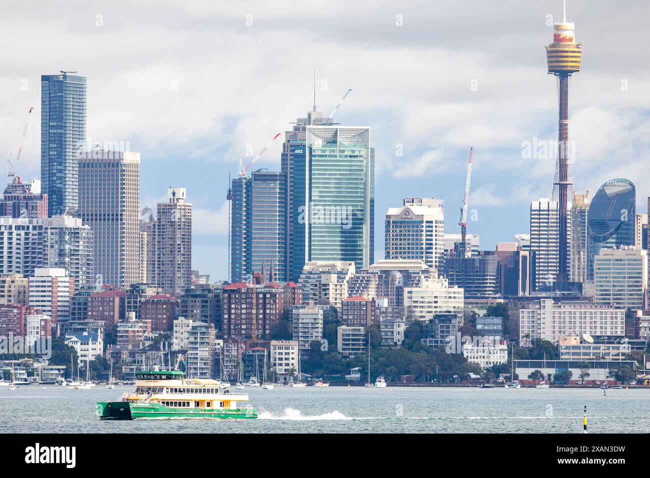 Sydney cityscape city centre and office buildings skyline viewed across ...