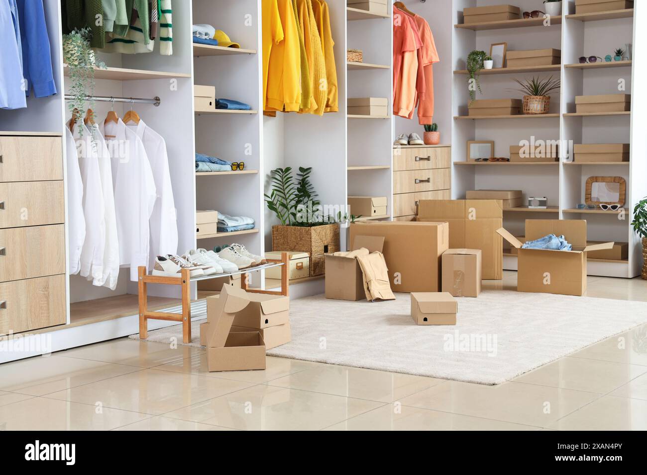 Interior of modern dressing room with wardrobe boxes, stylish clothes ...