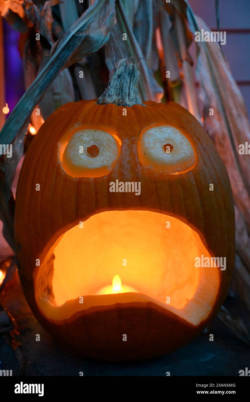 Halloween Jack o' Lantern Stock Photo - Alamy