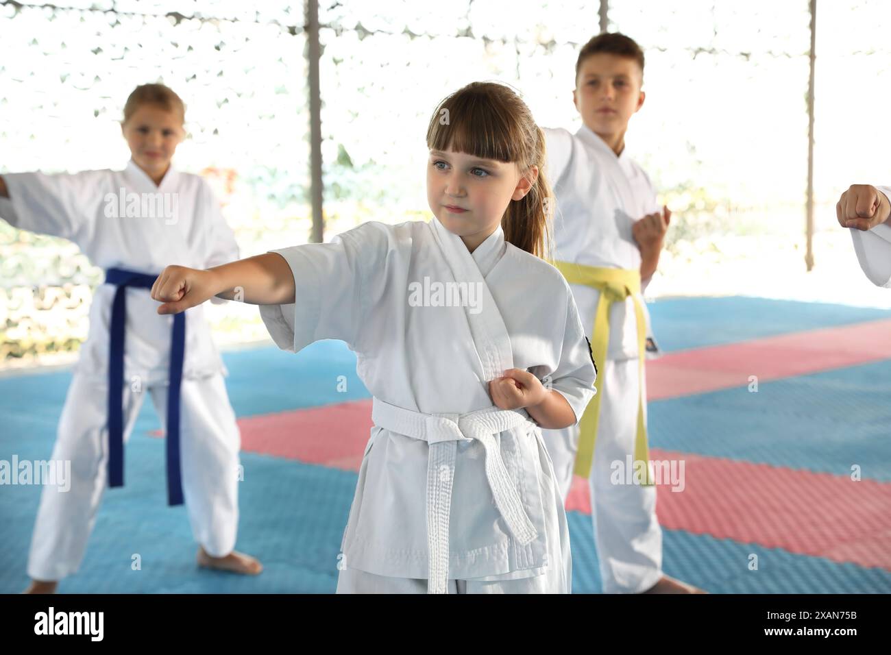 Children in kimono practicing karate on tatami outdoors Stock Photo - Alamy