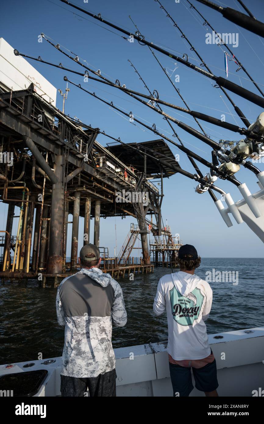 Anglers fish for baitfish while surrounded by offshore oil platforms in ...