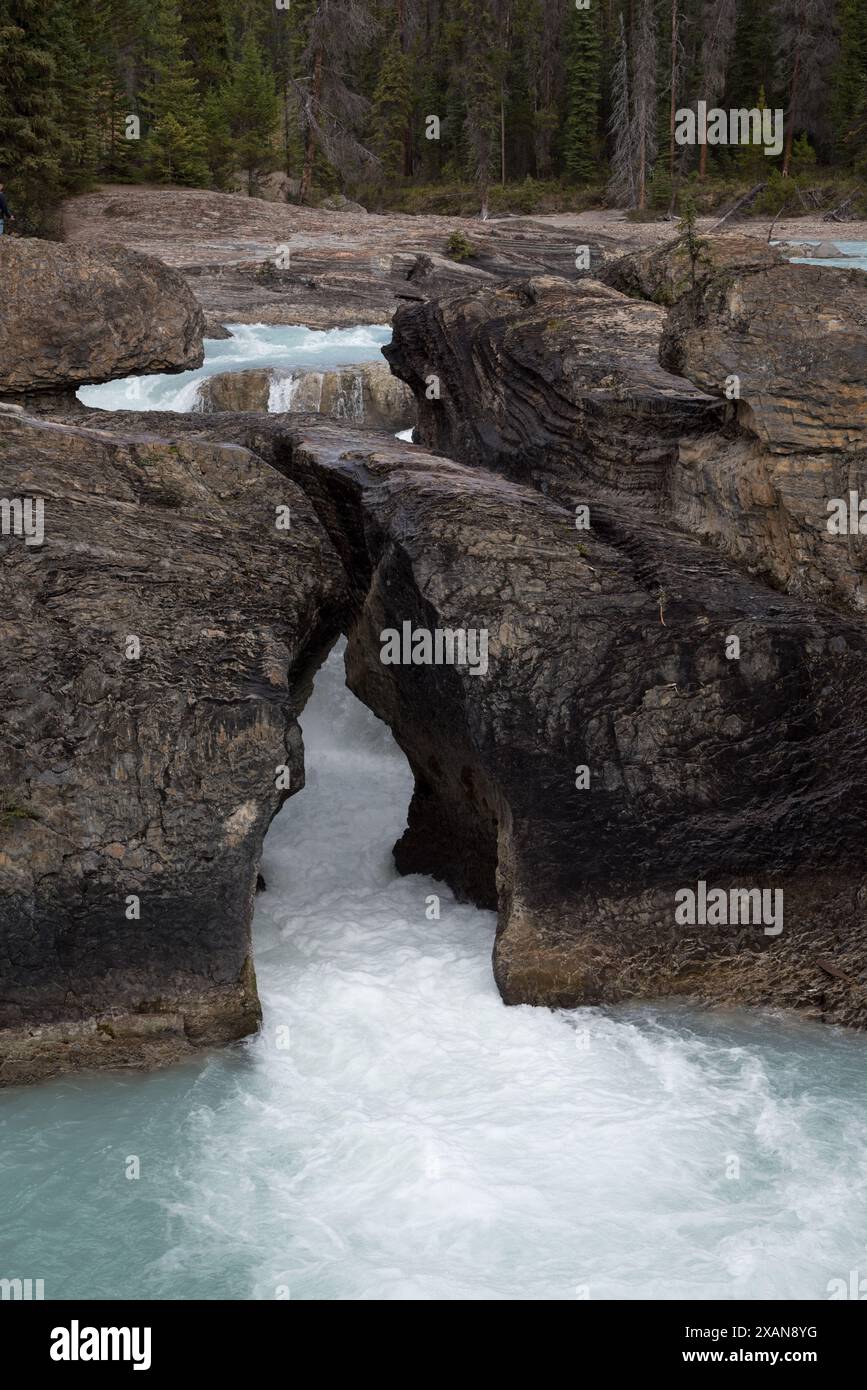 Natural Bridge is a breakthrough of Kicking Horse River through the ...