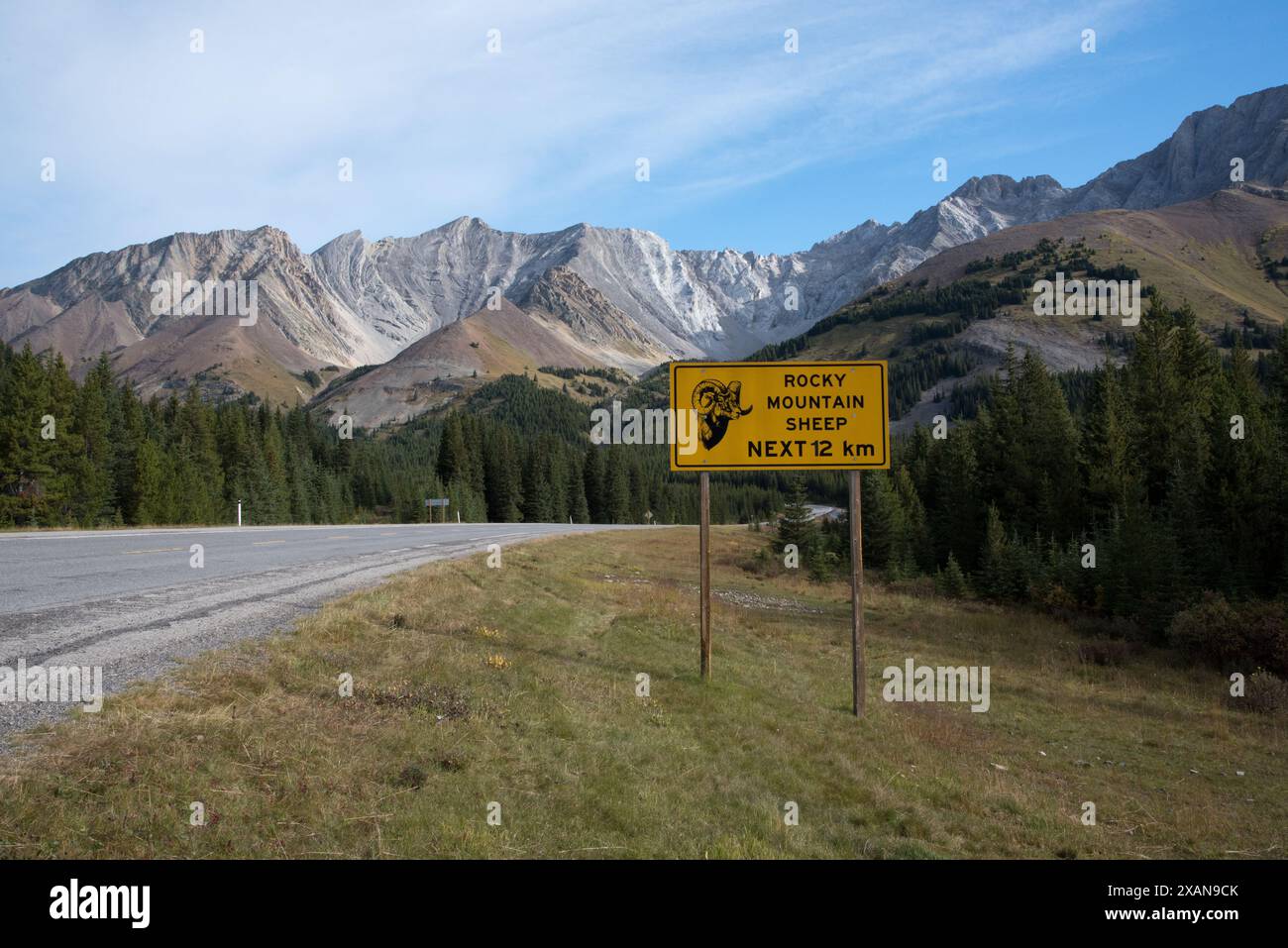 Warning sign for Rocky Mountain Sheep at Kananaskis Trail in Canadian ...