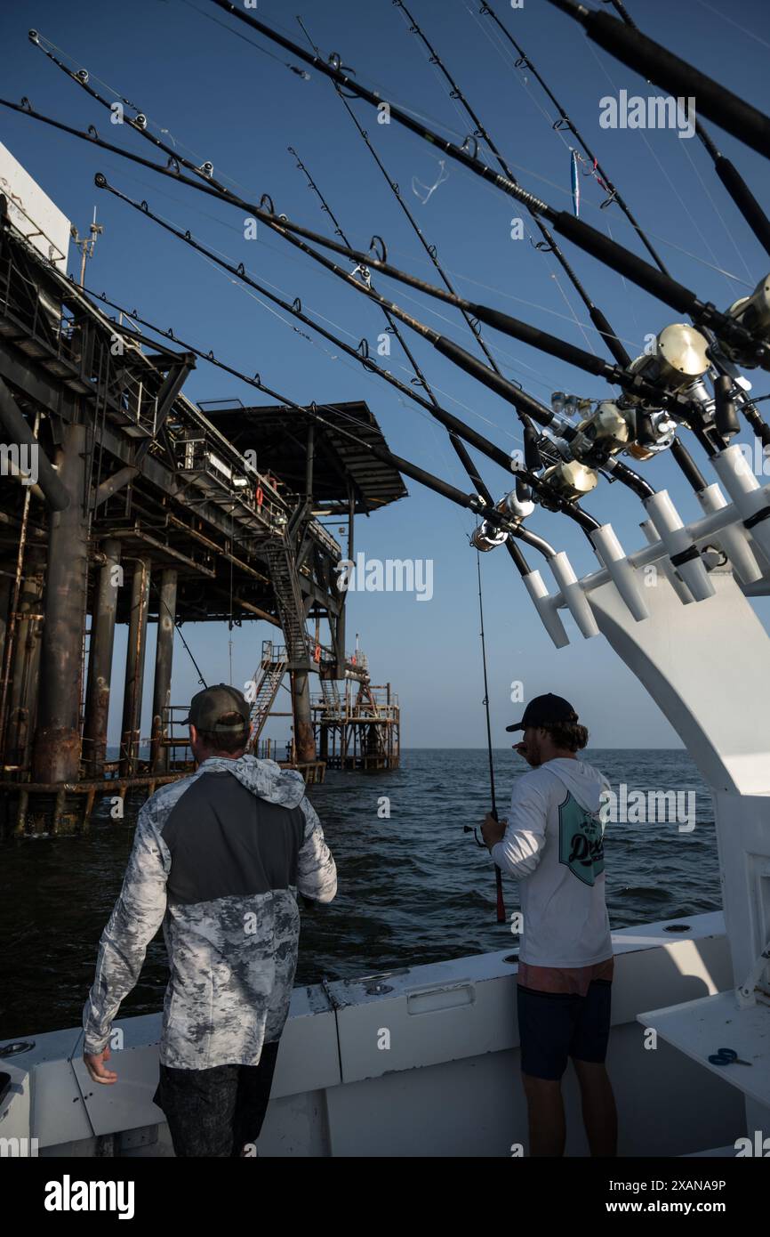 Anglers fish for baitfish while surrounded by offshore oil platforms in ...