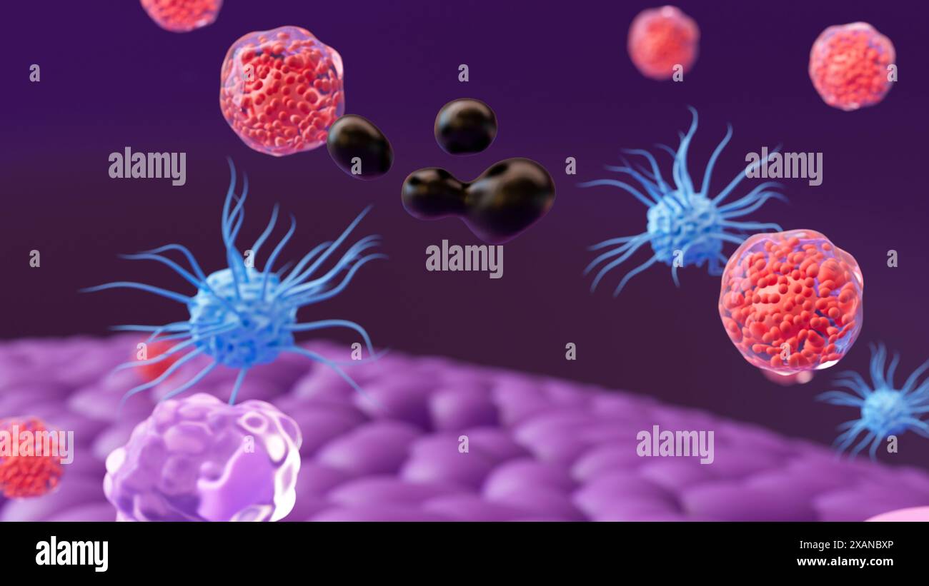 Illustration showing the immune response to tattoo ink (black). During ...
