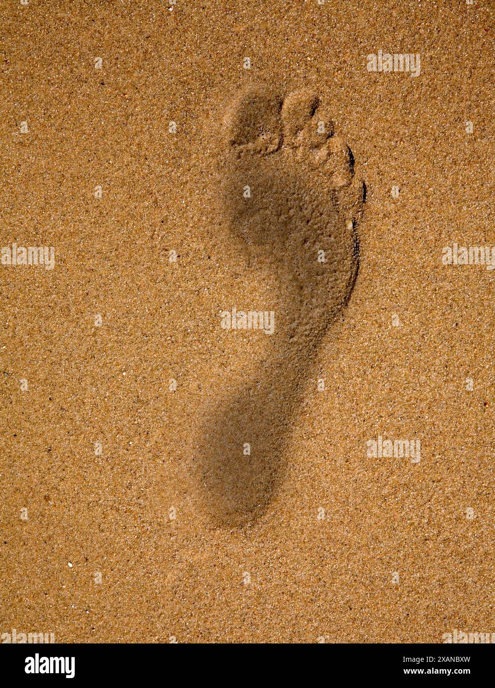 Carbon footprint concept footprint hi-res stock photography and images ...