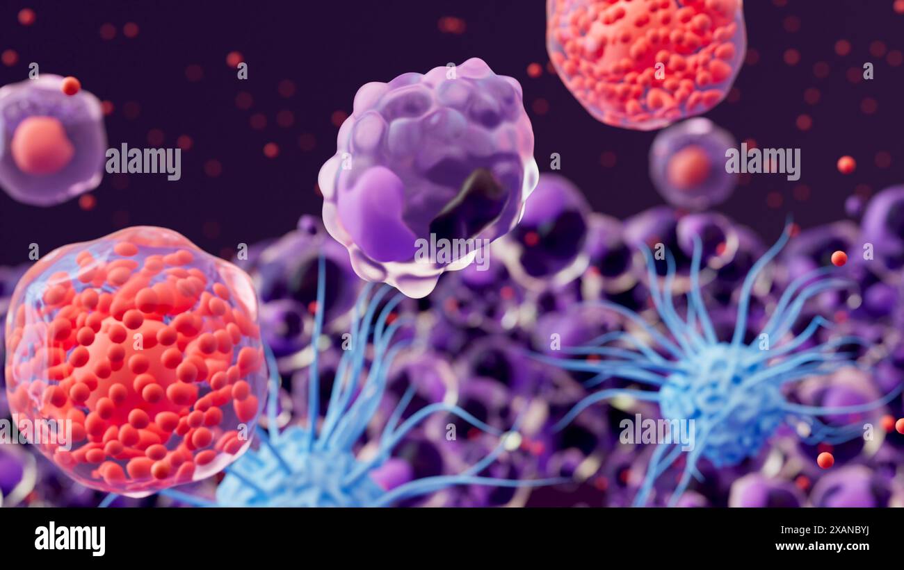 Illustration showing the immune response to tattoo ink (black). During ...