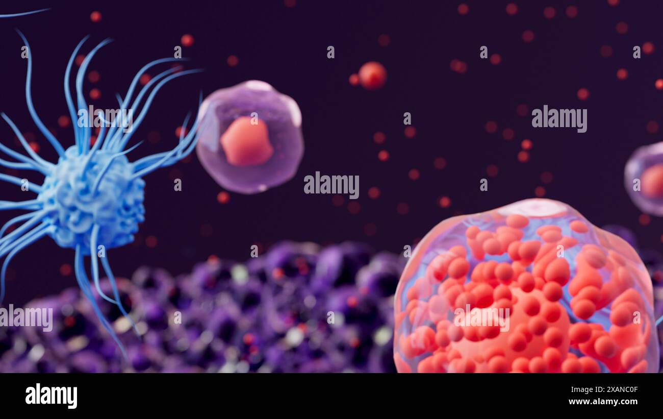 White blood cells and cytokines hi-res stock photography and images - Alamy