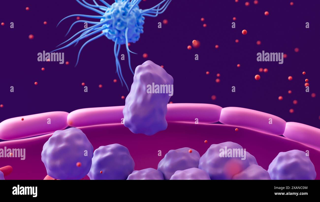 White blood cell leaving blood vessel at site of infection hi-res stock ...