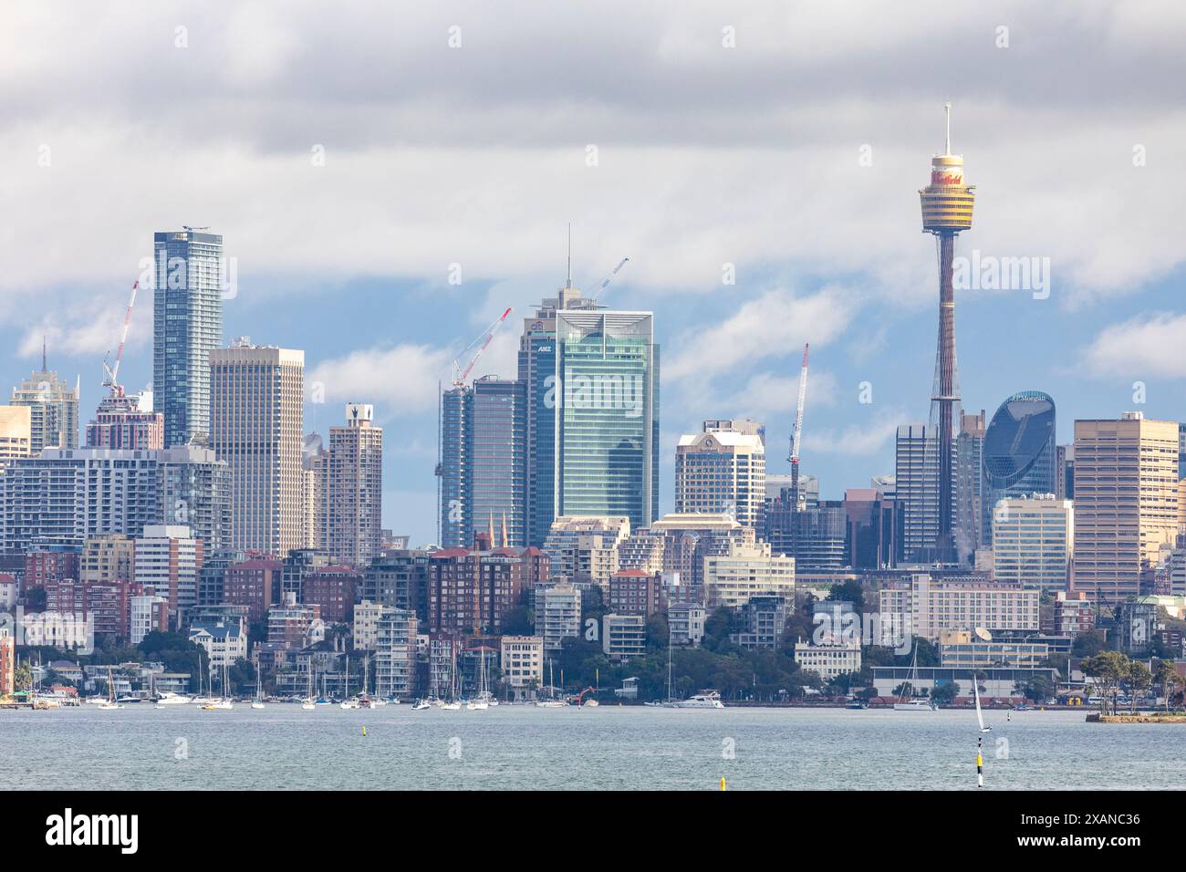 Sydney cityscape city centre and office buildings skyline viewed across ...