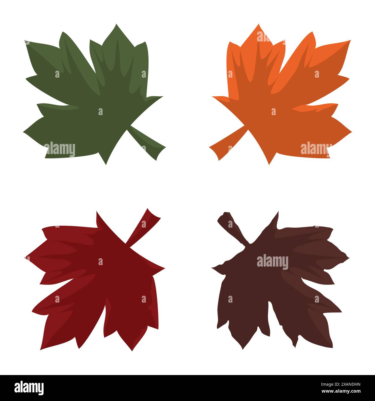 Four different colored maple leaves for the different seasons and life ...