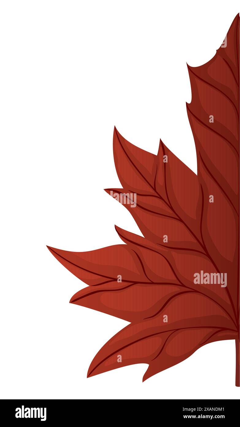 Close-up view of red maple leaf with detail of its ribs and midribs on ...